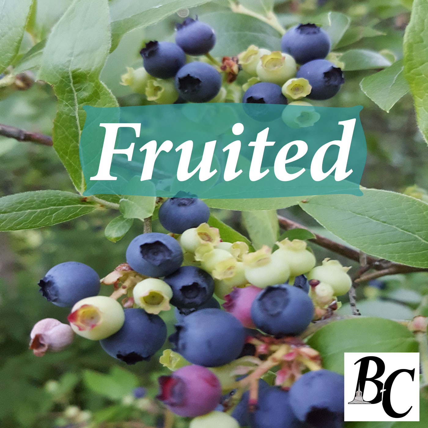 Eat, Pray, Love -Fruited Part 1 – Bean’s Corner Baptist Church